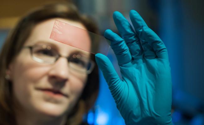 New materials researchers receive funding boost from JELF | UBC Science New materials researchers receive funding boost from JELF | UBC Science